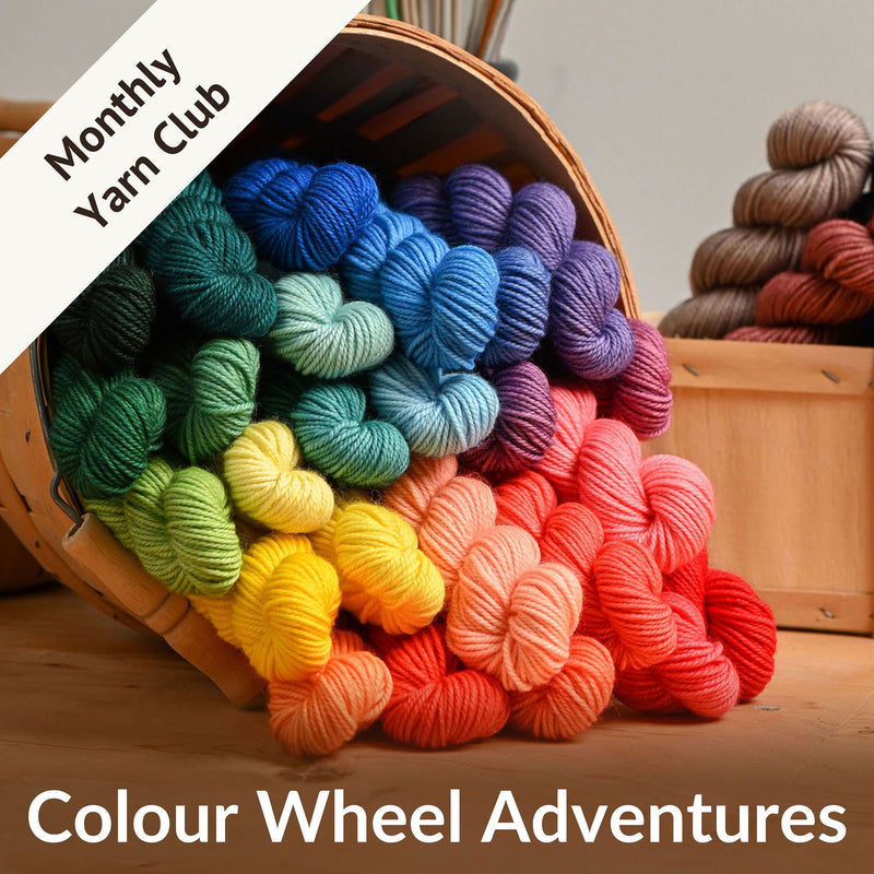 Yarn Club: Colour Wheel Adventures - Sweet Paprika Designs