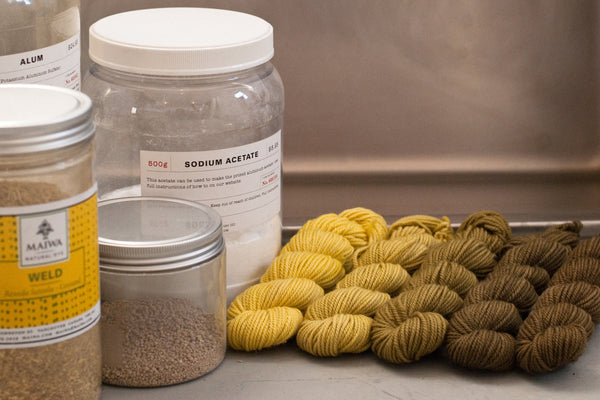 Natural Dyeing Workshop Montreal - Sweet Paprika Designs