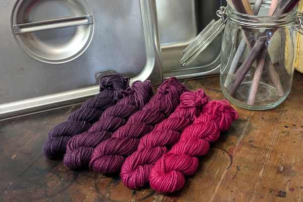Natural Dyeing Workshop Montreal - Sweet Paprika Designs