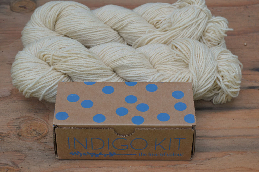 Indigo Dye Kit - Sweet Paprika Designs